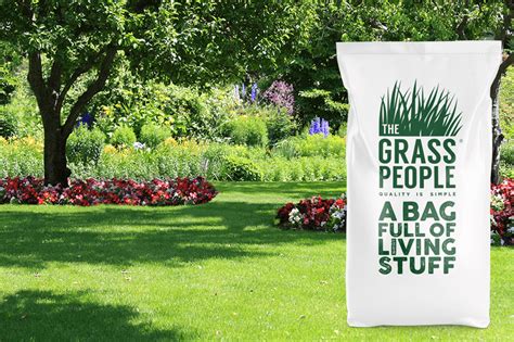 How To Replace Artificial Grass With A Real Lawn