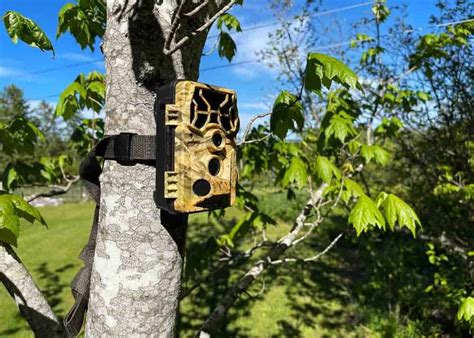 4 Ways To Connect Trail Camera To Computer View Photosvideos Gudgear