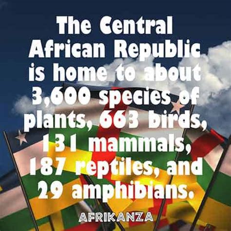 11 Interesting Facts About The Central African Republic Afrikanza
