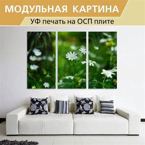 Модульная картина "Большая звезда куколка, расцветает, белый" для ...