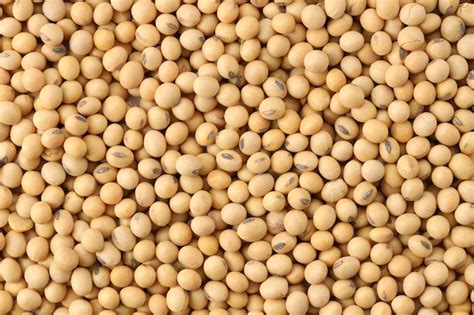 Premium Photo Close Up Soybeans Background