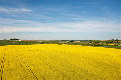 Bluepicturesexyhdhindi Photos Download The Best Free Bluepicturesexyhdhindi Stock