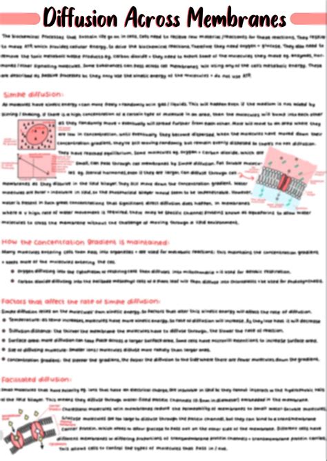 Ocr A Level Biology Notes 25 Biological Membranes A4 Printable Etsy