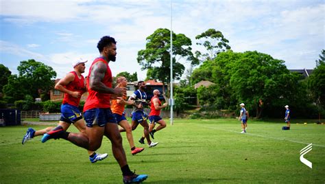 The Importance Of Centralised Data And Multi Team Partnerships Nrl Case