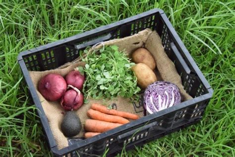 Vegetable Box Heritage Farm
