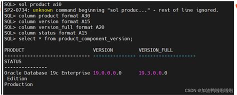 oracle 19c打补丁到19 14 oracle19c打补丁查看版本 csdn博客