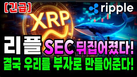 리플 코인 전망⭐sec 판 뒤집어졌다 Xrp는 결국 우리를 부자로 만들어 줄것 본격 상승은 이때부터 입니다 리플 리플코인 Xrp 엑스알피 리플전망 Youtube