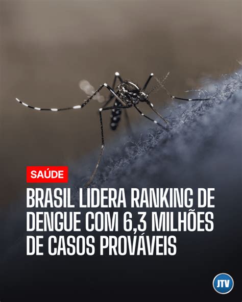 Brasil Lidera Ranking De Dengue Com 63 Milhões De Casos Prováveis