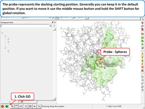 Icm Users Guide Induced Fit Flexibility Docking Tutorials
