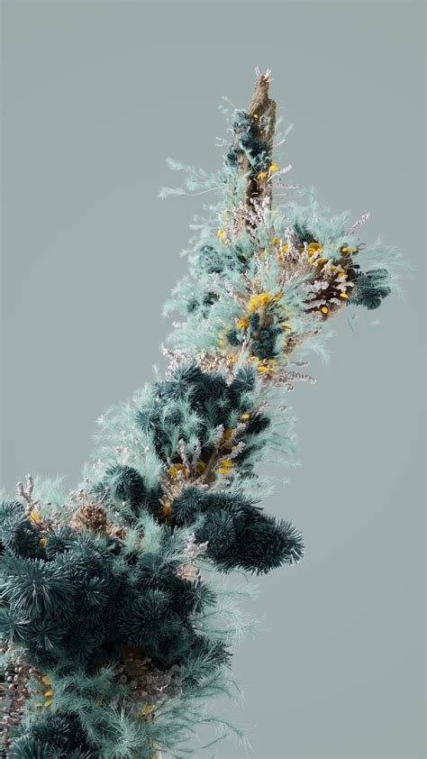 Plant Growth Artofit