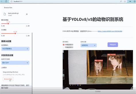 基于深度学习的动物识别系统网页版 YOLOv v v v 代码 训练数据集 知乎
