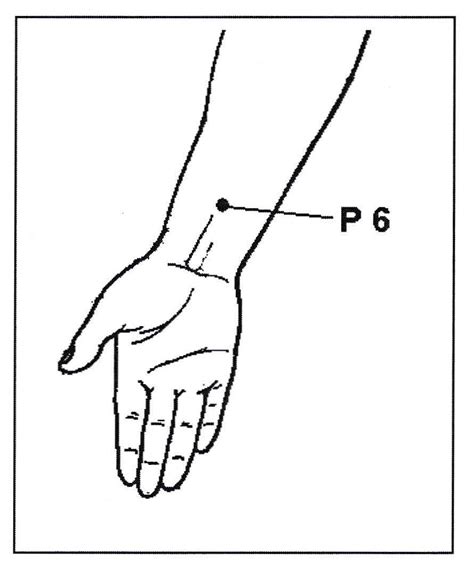 The Pericaridum 6 Point Nei Guan Tao And Martial Ways