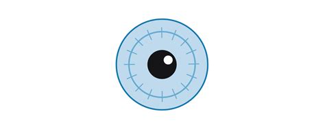 Overview Of Laser Eye Treatments — Qei Laser · Laser Eye Surgery