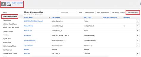 FAQ Salesforce Lead Conversion And Field Mapping Parquet Development