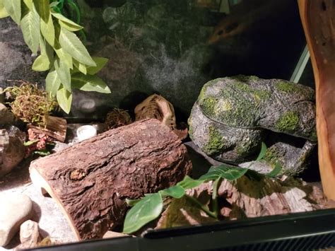 Some Tips On How To Use The Algorithm Design Manual Rcomputerscience