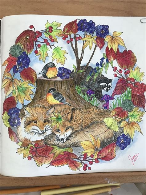 Pin By Deborah Alsop On Colorbooks Kanoko Menuet Rhapsody