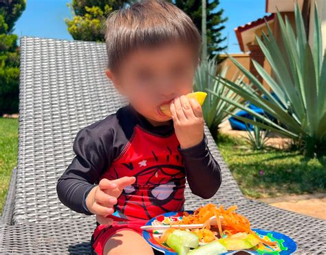Exhorta Sso A Preparar Lonche Saludable Para El Regreso A Clases Hola