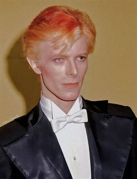 Unraveling The David Bowie Allegations Truth Or Fiction