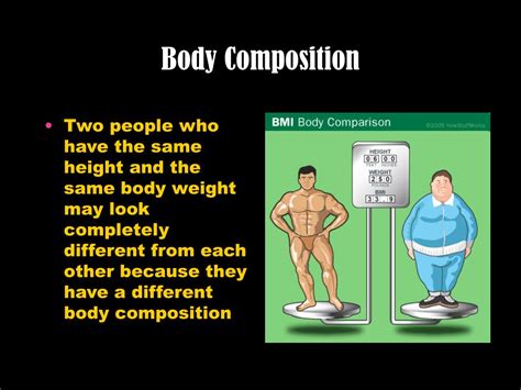 Ppt Body Composition Powerpoint Presentation Free Download Id1299525