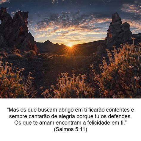 E Disse Lhes Ide Por Todo O Mundo E Pregai O Evangelho A Toda