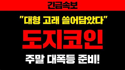 긴급속보 대형 고래 쓸어담았다 도지코인 주말 대폭등 준비 도지코인호재 도지코인매수 도지코인실시간 Youtube