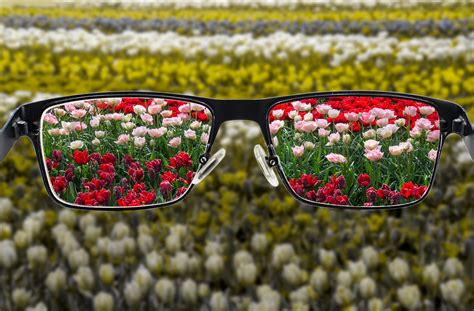 Glasses For The Colour Blind How To Choose Them Iris