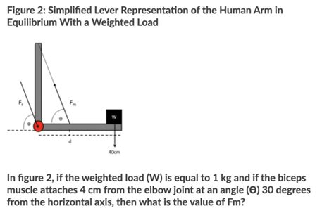 Solved Figure Simplified Lever Representation Of The Chegg Com