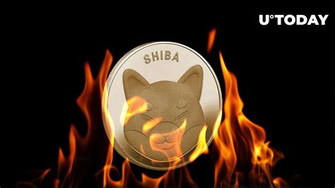 Shiba Inu Shib 2 Billion Token Burn Extremely Suspicious Heres Why