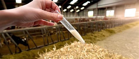 Fresh Semen Testing Dyneval