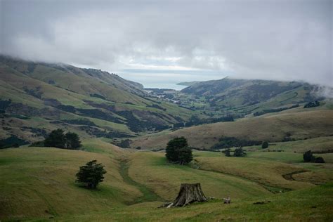 A Grassy Valley With Trees And Hills Photo Landscape Image On Unsplash