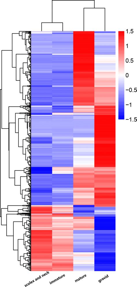 cluster analysis of degs the overall fpkm hierarchical clustering map