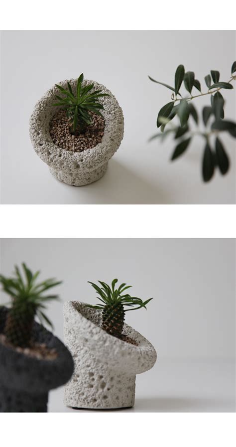 괴마옥 파인애플선인장 테라스톤 화분 감도 깊은 취향 셀렉트샵 29cm