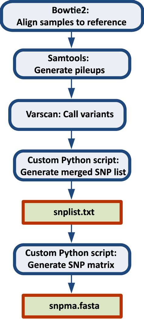 steps in the snp pipeline rounded blue outlined boxes are analysis