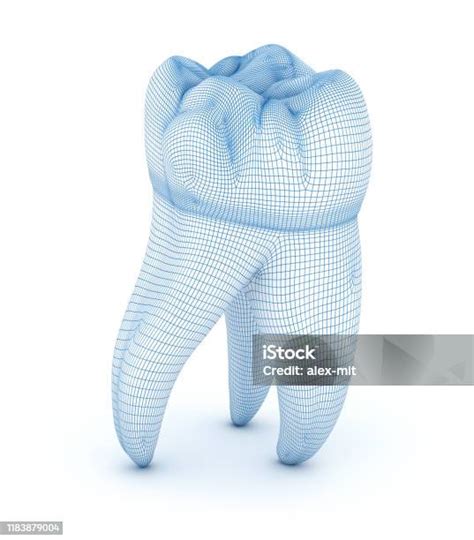 첫 번째 상악 골치의 형태 유선 3d 일러스트레이션 3차원 형태에 대한 스톡 사진 및 기타 이미지 3차원 형태 개과