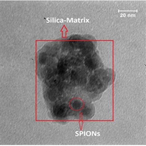 Ft Ir Analyze Of Spions Fe3o4msnctab Fe3o4msn And Fe3o4msn Nh2