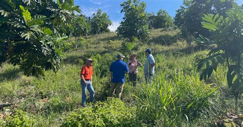 Nrcs Caribbean Announces Fiscal Year 2024 Program Application Deadlines