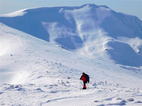 У Карпатах погіршується погода є загроза сходження снігових лавин Читайте на Ukr Net
