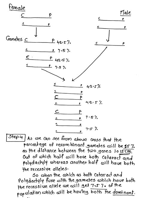 Solved 2 A Woman Has Two Dominant Traits Each Caused By A
