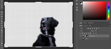 How To Use Quick Selection Tool In Photoshop Step By Step