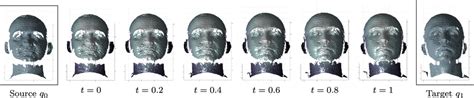 Matching Surfaces With Topological Noise The Facial Scanning Download Scientific Diagram