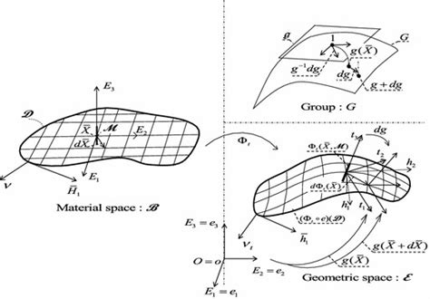 Left And Right Bottom Parameterization Of The Deformed Configuration