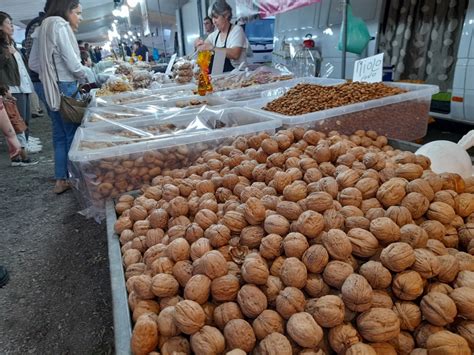 Feira Dos Santos Em Alvito A 31 De Outubro E 1 De Novembro O Atual