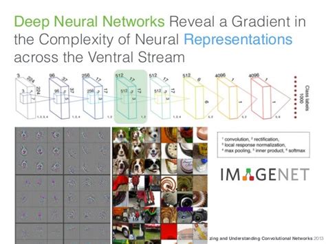 Article Overview Deep Neural Networks Reveal A Gradient In The Compl