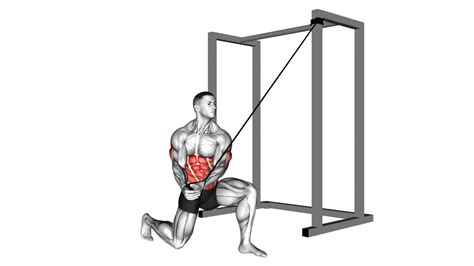 Half Kneeling Chop Ultimate Video Guide And Tips