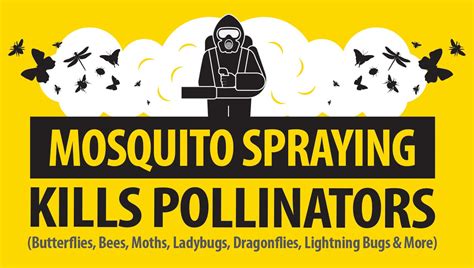 Mosquito Spraying Kills Pollinators