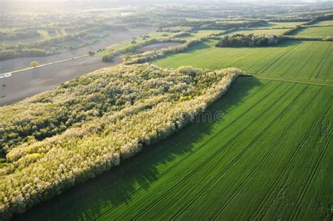 Panoramic Views Of Green Fields And Forest Stock Image Image Of