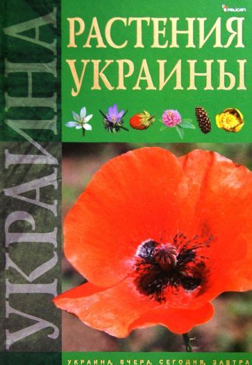 Книга: "Ботаника. Учебник для бакалавров" - Олег Коровкин. Купить книгу ...