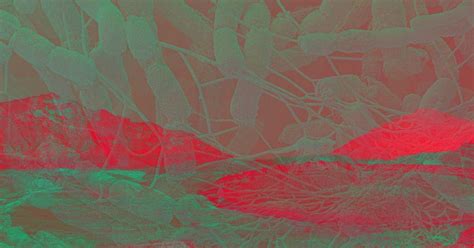 Contaminating Mars With Microbes Could Kickstart Colonization