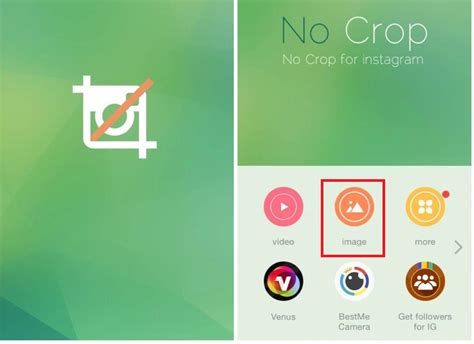how to set whatsapp profile picture without cropping