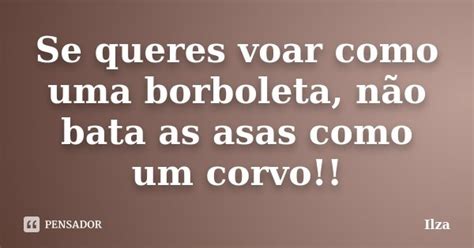 Se Queres Voar Como Uma Borboleta Não Ilza Pensador